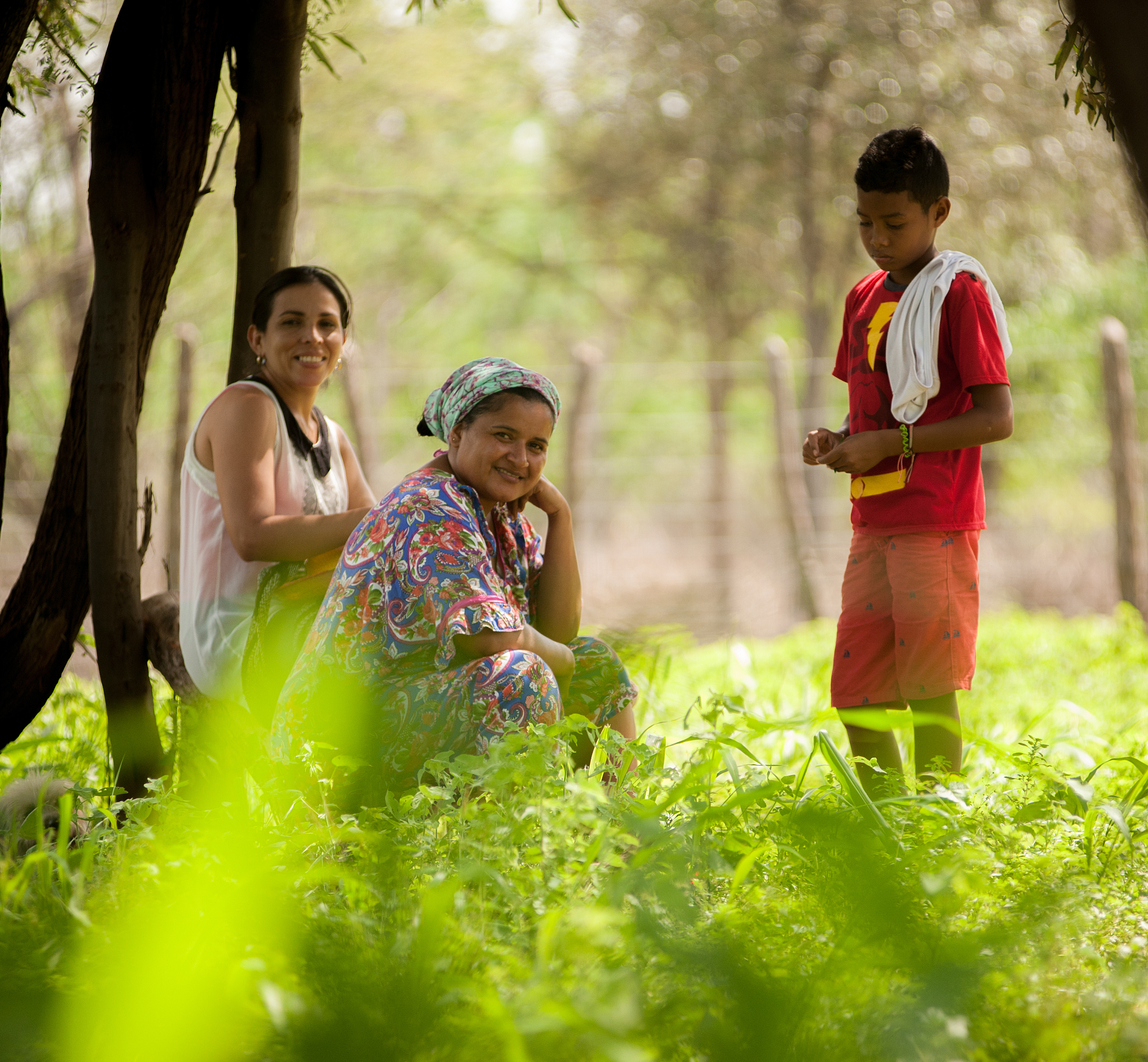Portal Promigas - Inicio