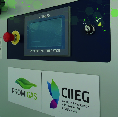 Portal Promigas - Inicio