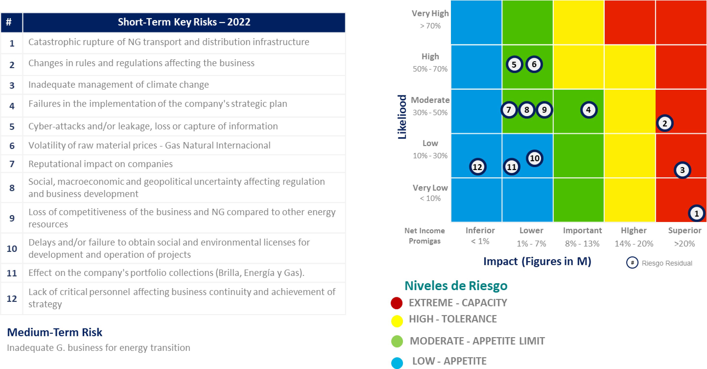 Páginas - Risk Management